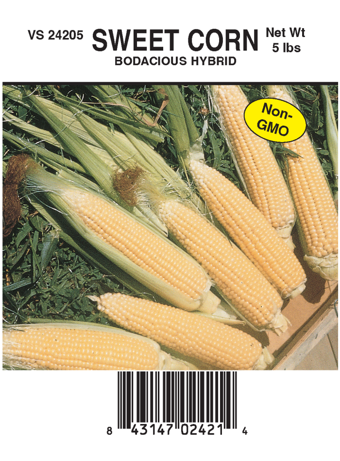 1/2# Corn-Bodacious Hybrid (Y)